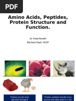 Amino Acid Chemistry Guide | PDF | Amino Acid | Proteins
