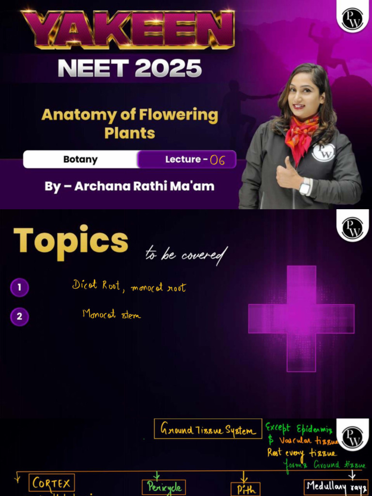 Anatomy of Flowering Plants 06 Class Notes Yakeen NEET 2 | PDF