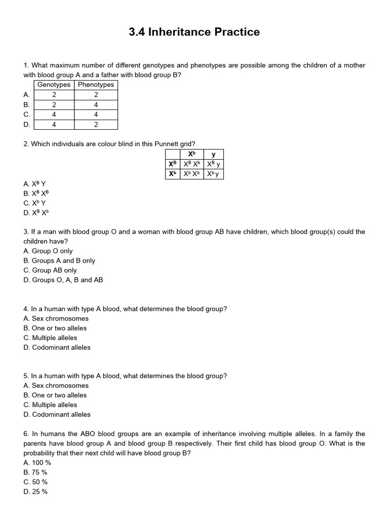 3.4 Inheritance Practice | PDF