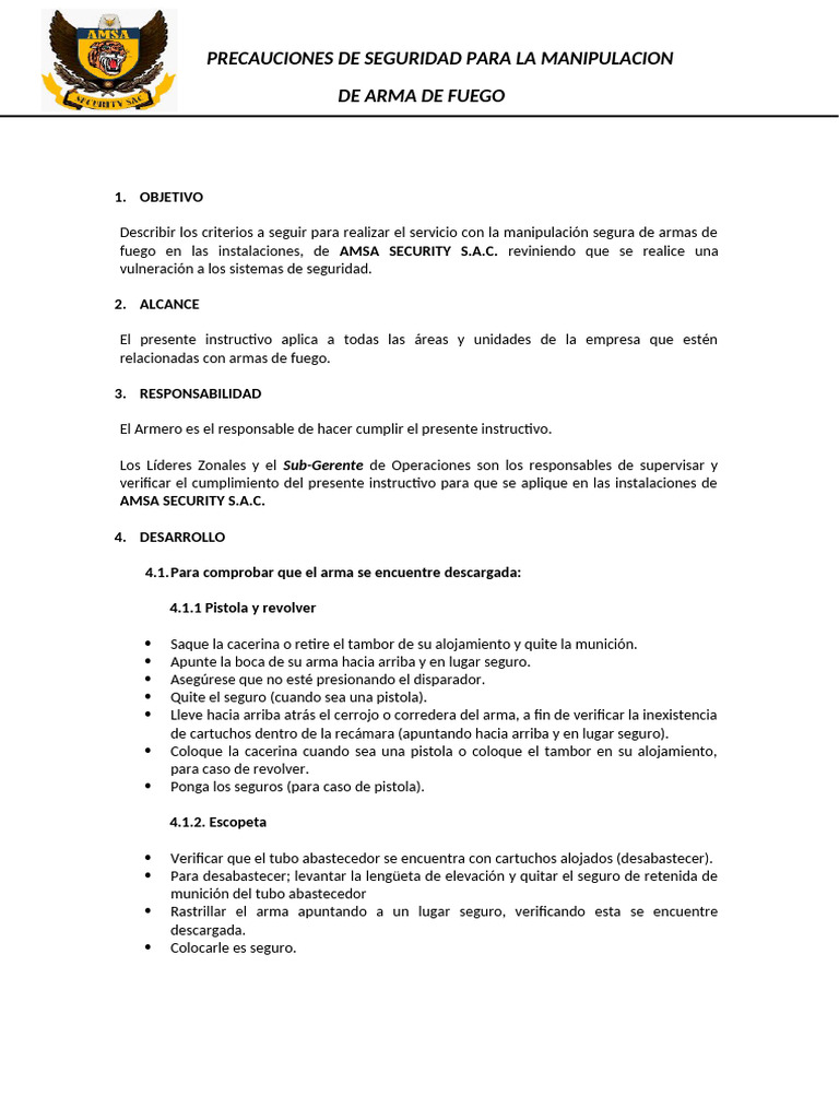 Precauciones de Seguridad Amsa Security Sac | PDF