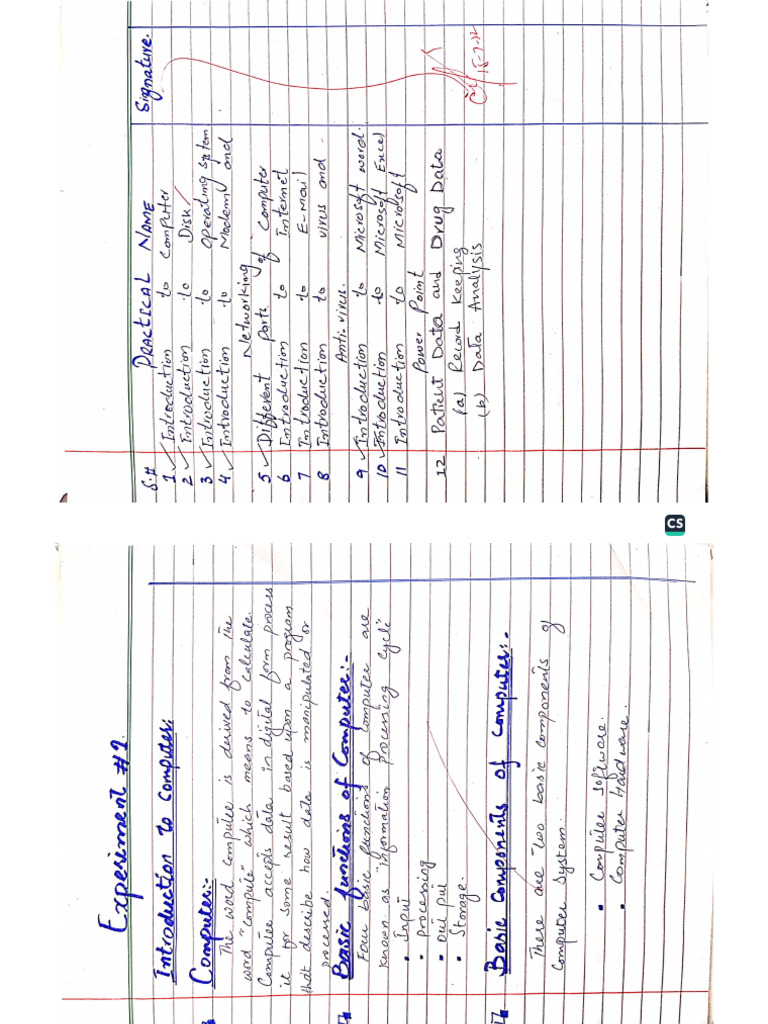 2nd Year Computer Practical | PDF