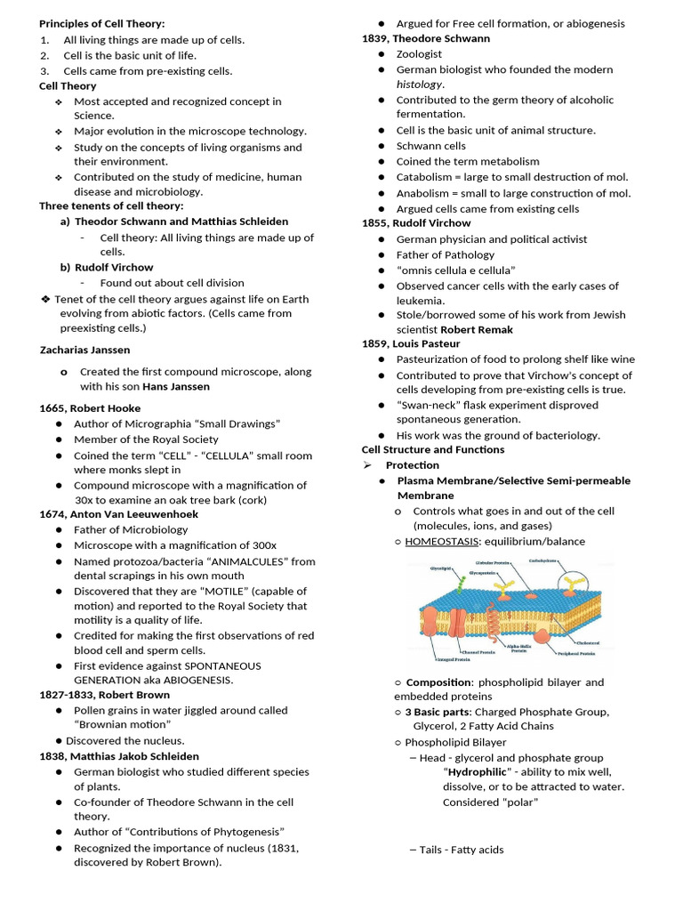 1st Grading BIOLOGY 1 | PDF