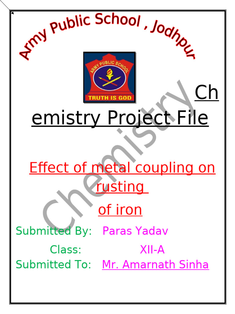 Chemistry Project File Effect of Metal Coupling On Rusting of Iron ...