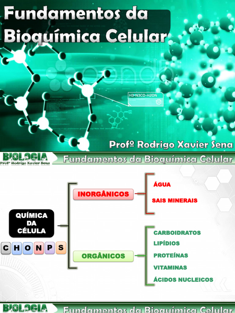 Fundamentos Bioquímica Celular 1 | PDF