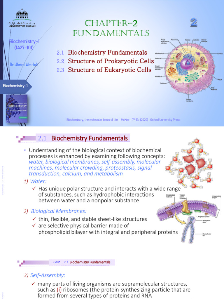 Chapter 2 Biochemistry | PDF
