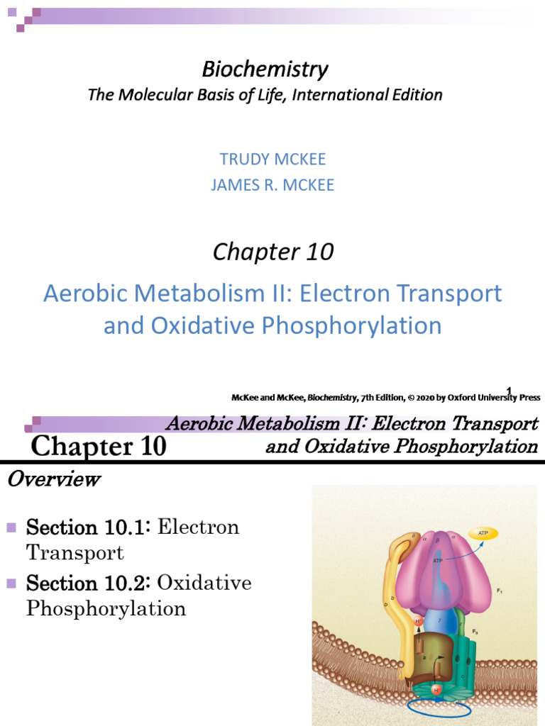 chapter 10 biochemistry | PDF