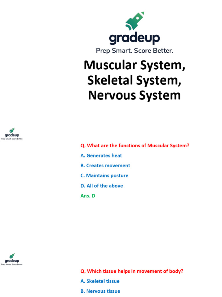 Muscular System Skeletal System Nervous System Eng 56 | PDF | Muscle ...