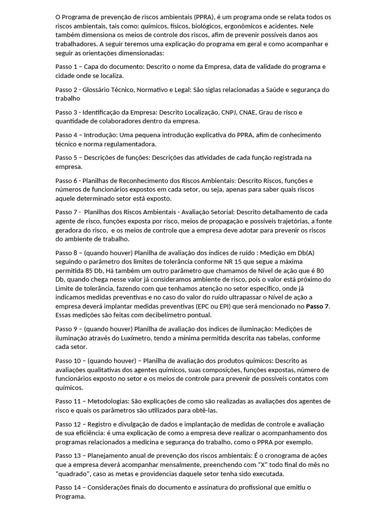 Resumo Explicativo Do PPRA | PDF