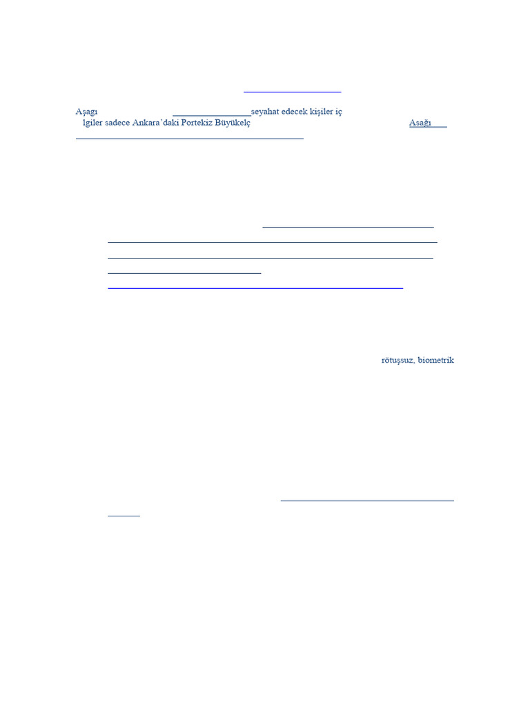 Schengen Vize TR WEB | PDF