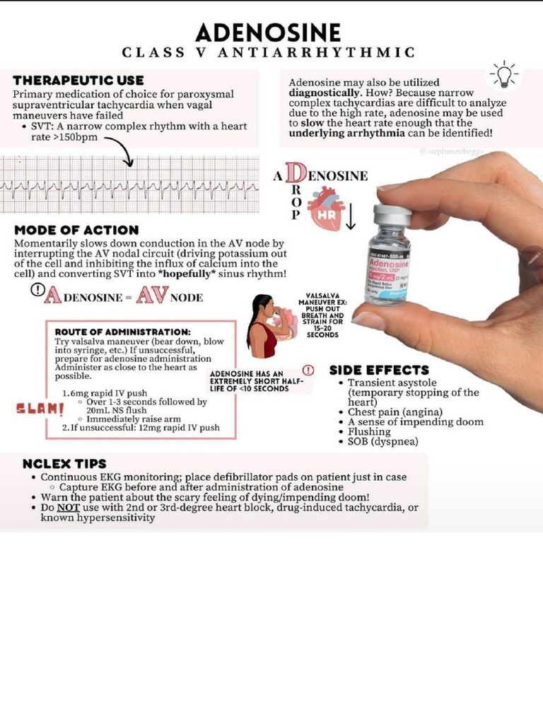 Antidote 20240903 235803 0000 | PDF