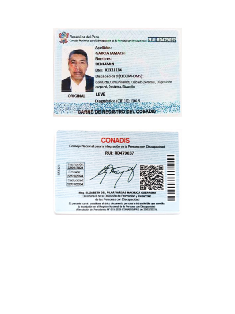 Carnet Conadis Ok | PDF