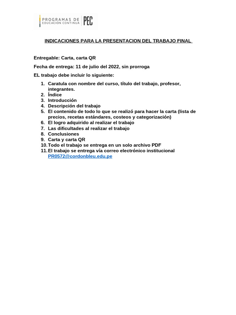 INDICACIONES PARA LA PRESENTACION DEL TRABAJO FINAL | PDF