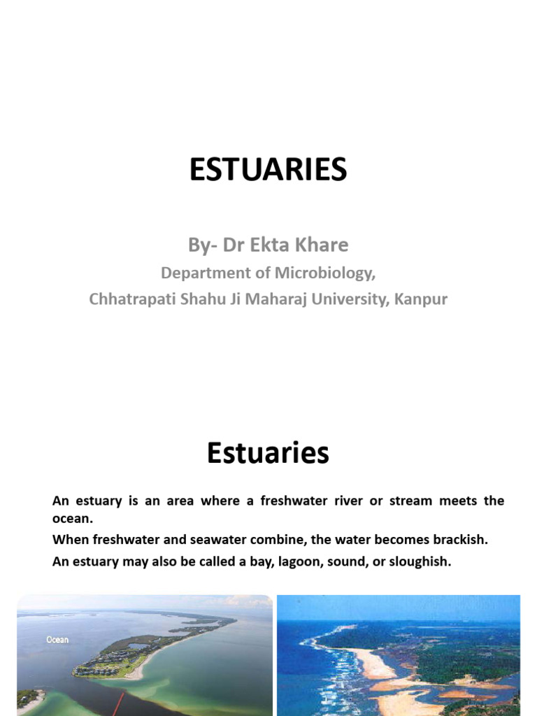 Estuaries | PDF