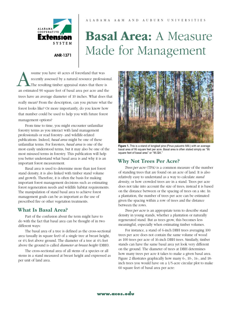 Basal Area - A Measure Made For Management | PDF | Forests | Natural ...