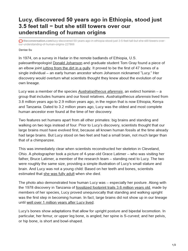 Theconversation Com Lucy Discovered 50 Years Ago in Ethiopia Stood | PDF