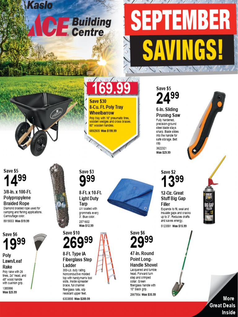 Sept Flyer | PDF | Vacuum Cleaner