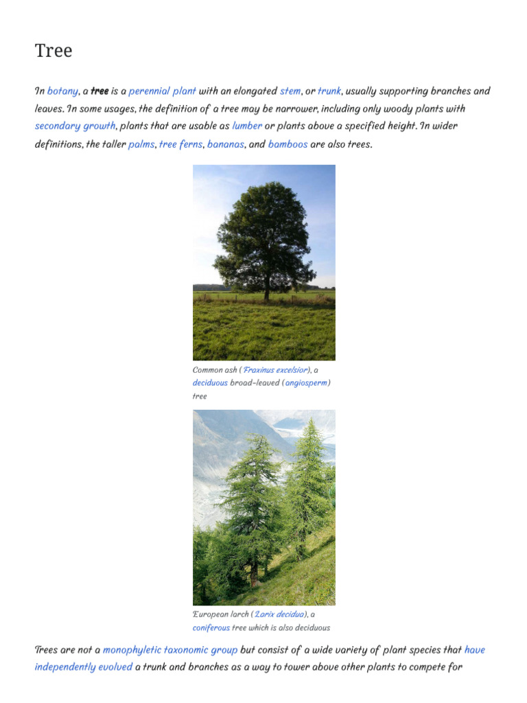 Tree - Wikipedia | PDF
