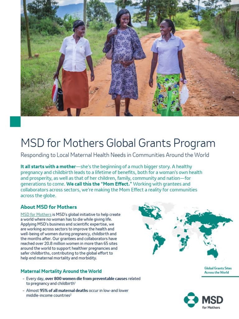 MSD Global Grants Overview | PDF
