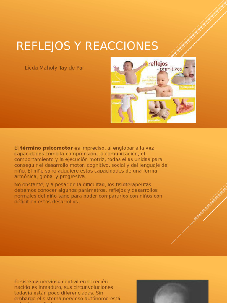 Reflejos y Reacciones | PDF | Cerebro | Neurona