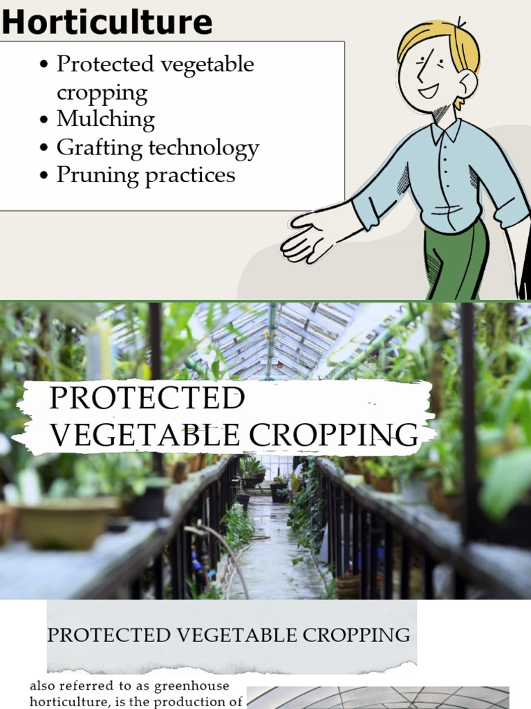 Protected Vegetable Cropping | PDF