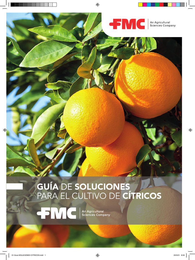 Guia Fmc-Soluciones Citricos | PDF
