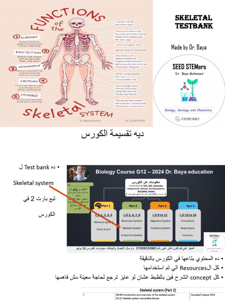Part 2 Skeletal System Test Bank - Dr. Baya | PDF