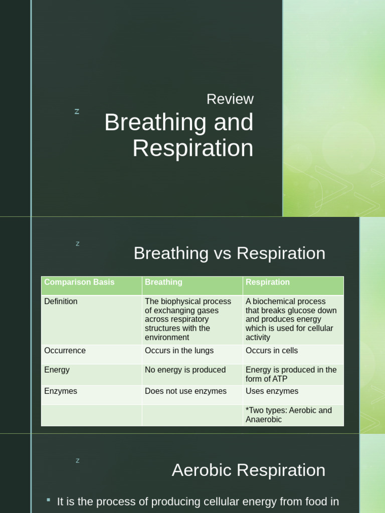 Form 1 - Biology - CHP 5 - Breathing & Respiration - Review | PDF
