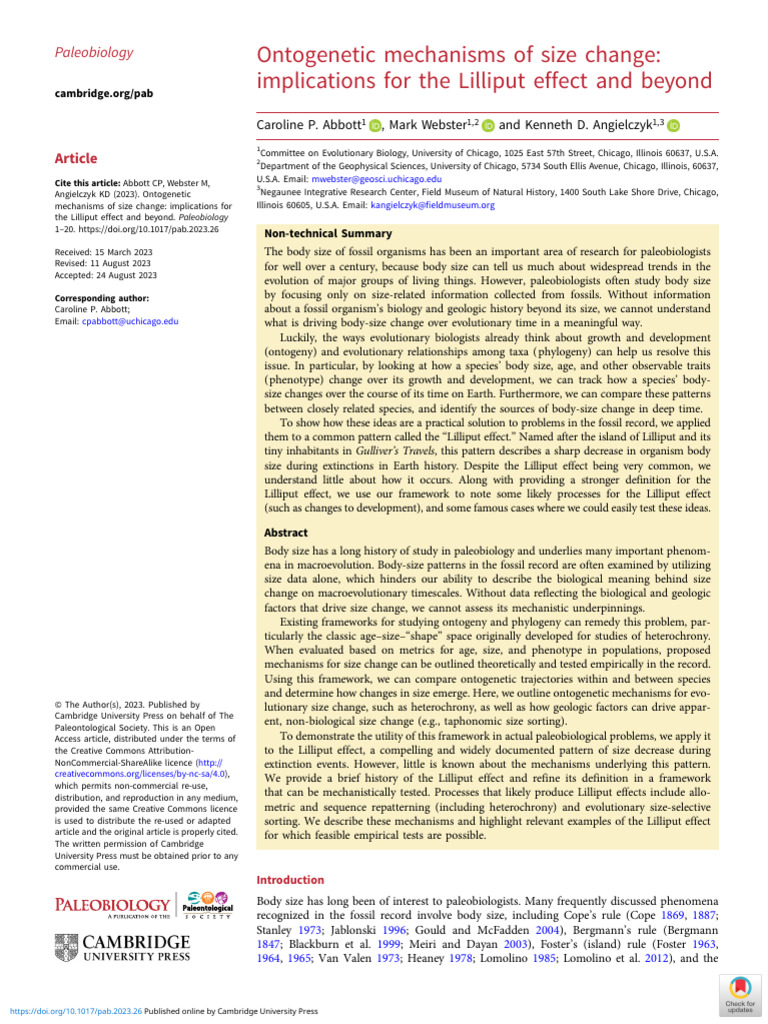 Caroline Paper Pdf