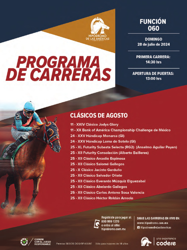60 Program a 0728 Completo | PDF