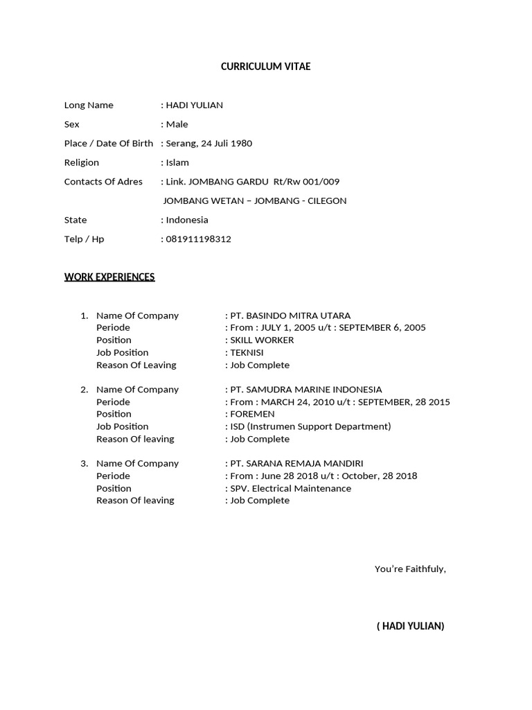 Curriculum Vitae Hadi | PDF
