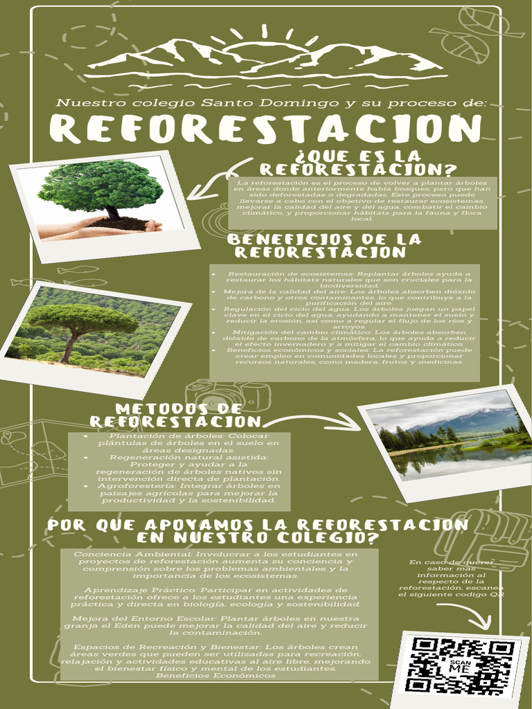 La Reforestacion | PDF