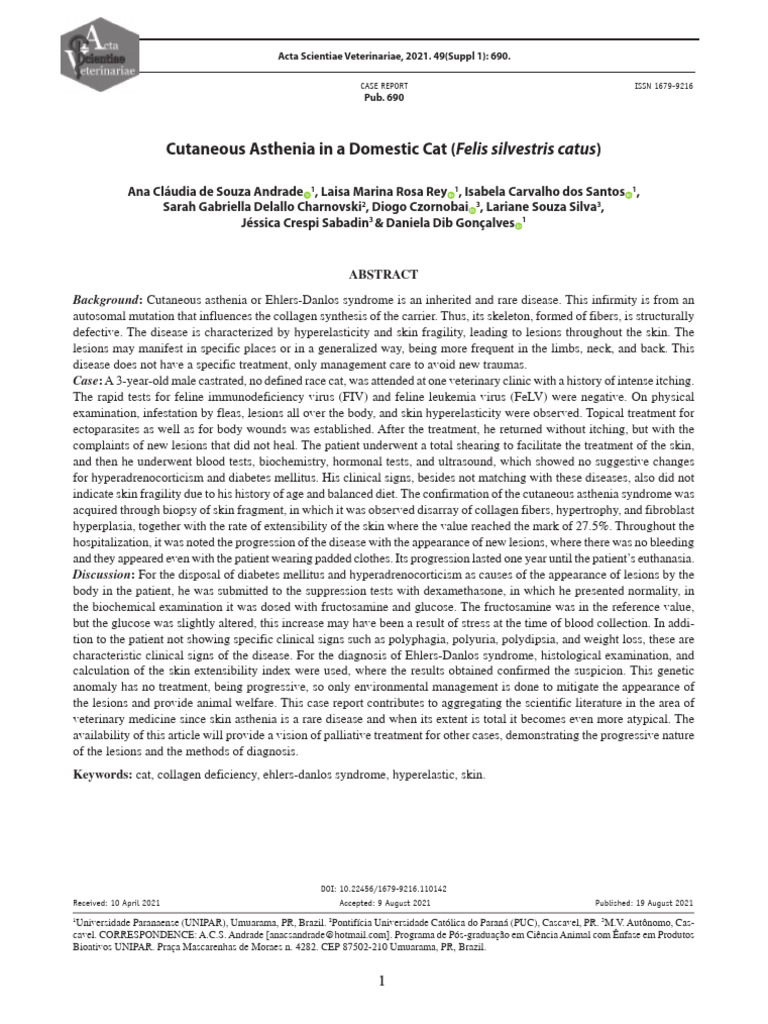 Cutaneous Asthenia in A Domestic Cat Felis Silvest | PDF