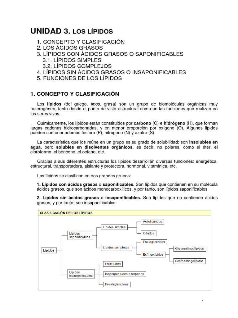 Unidad 3. Los Lã Pidos | PDF