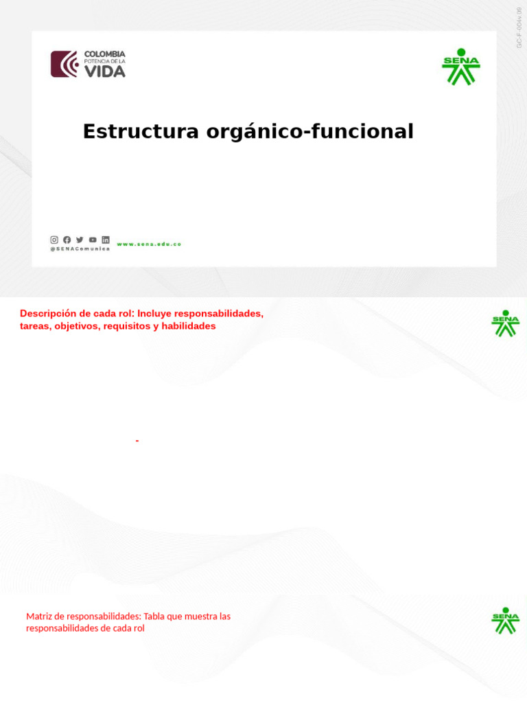 Estructura Organico Funcional | PDF