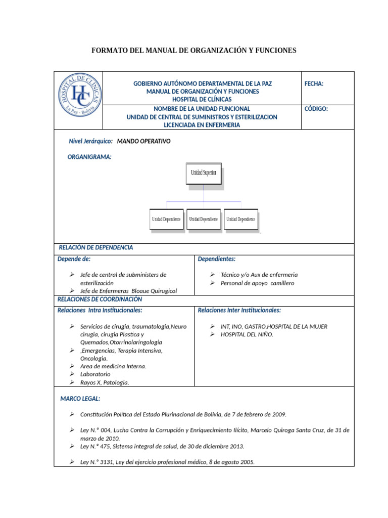 FORMATO DEL MANUAL DE ORGANIZACIÓN Y FUNCIONES | PDF