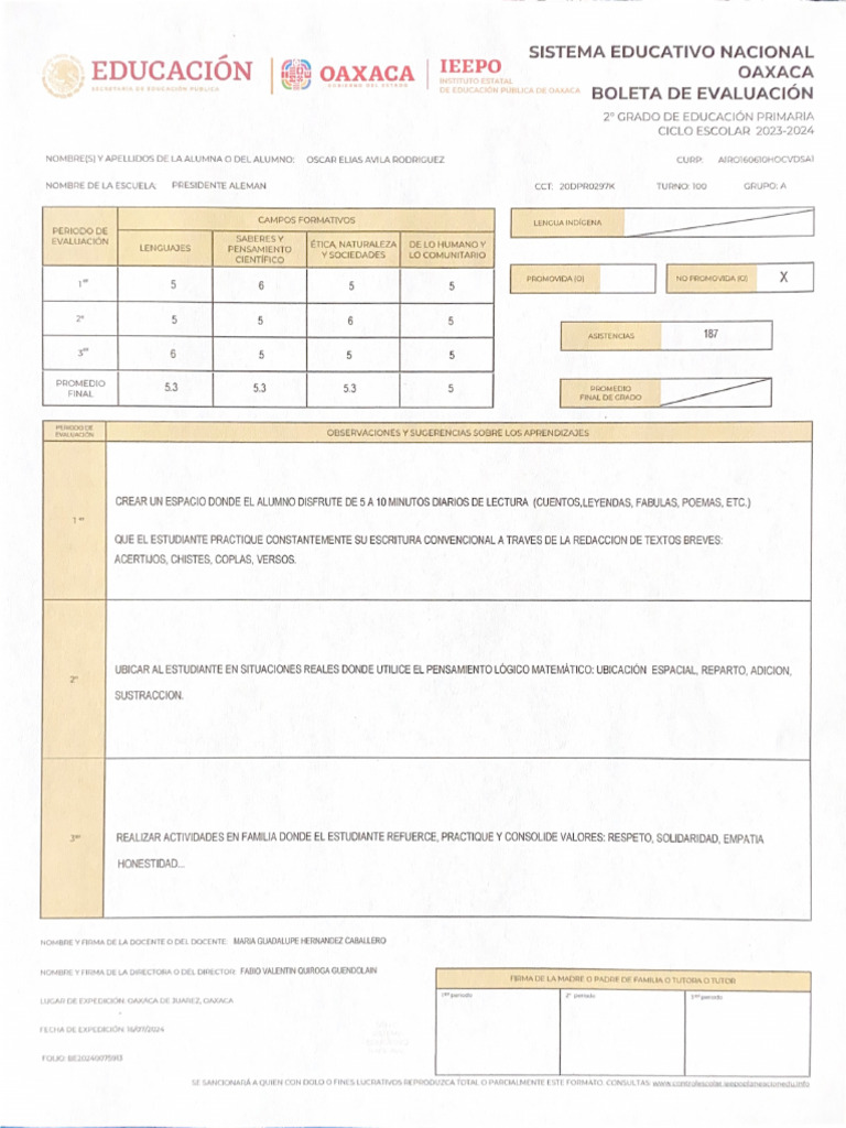 Boleta Ejemplo | PDF