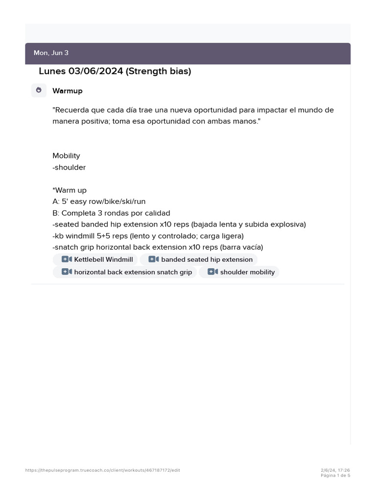 6-3-24 Workout The Pulse Program | PDF