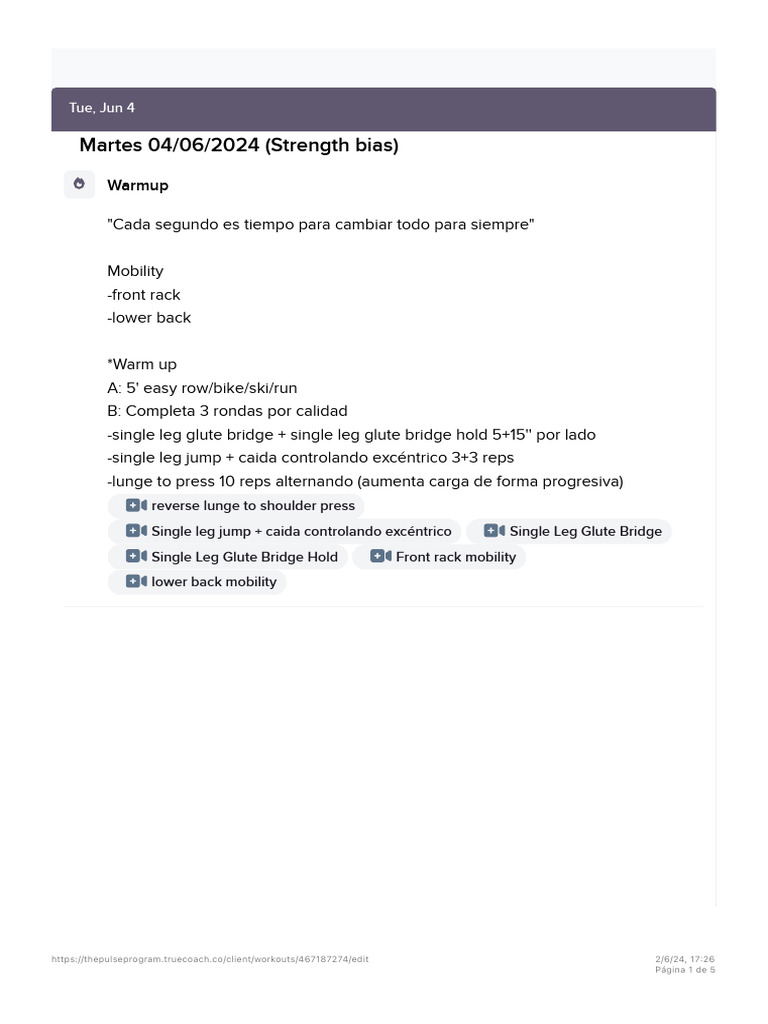 6-4-24 Workout the Pulse Program | PDF