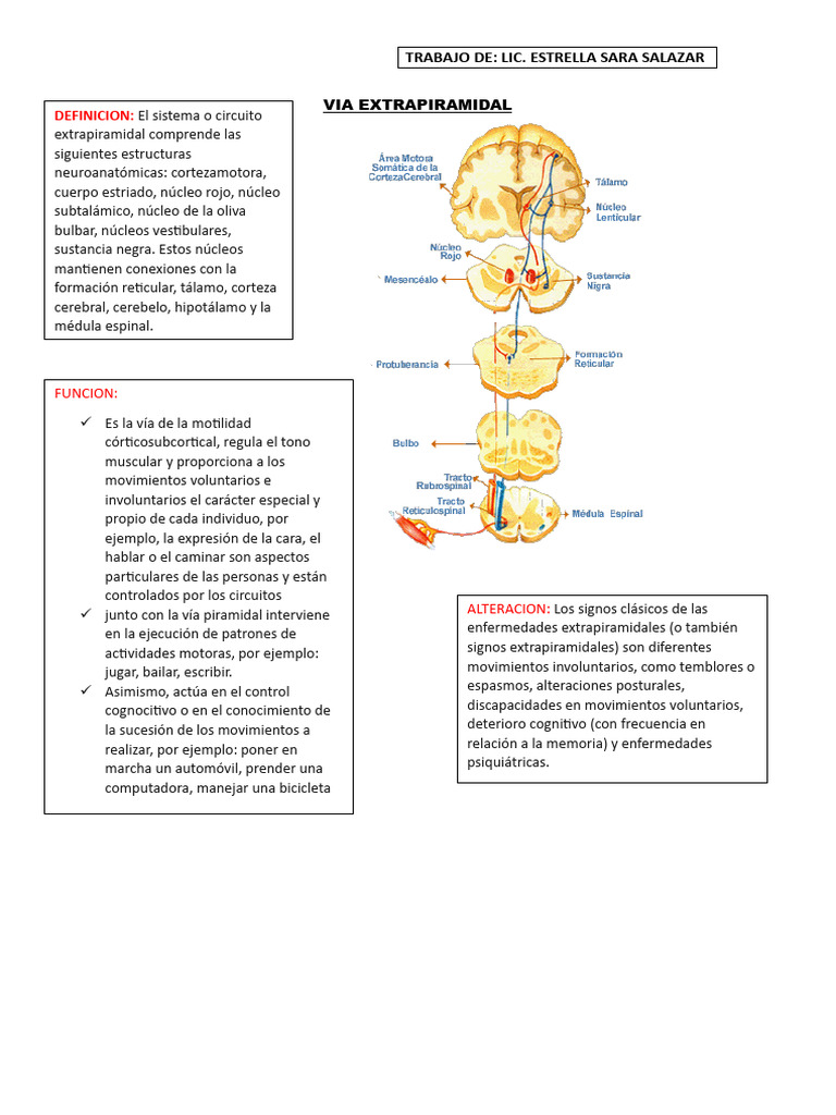 Via Extrapiramidal - Estrella Salazar | PDF