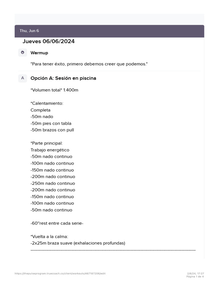 6-6-24 Workout The pulse program | PDF