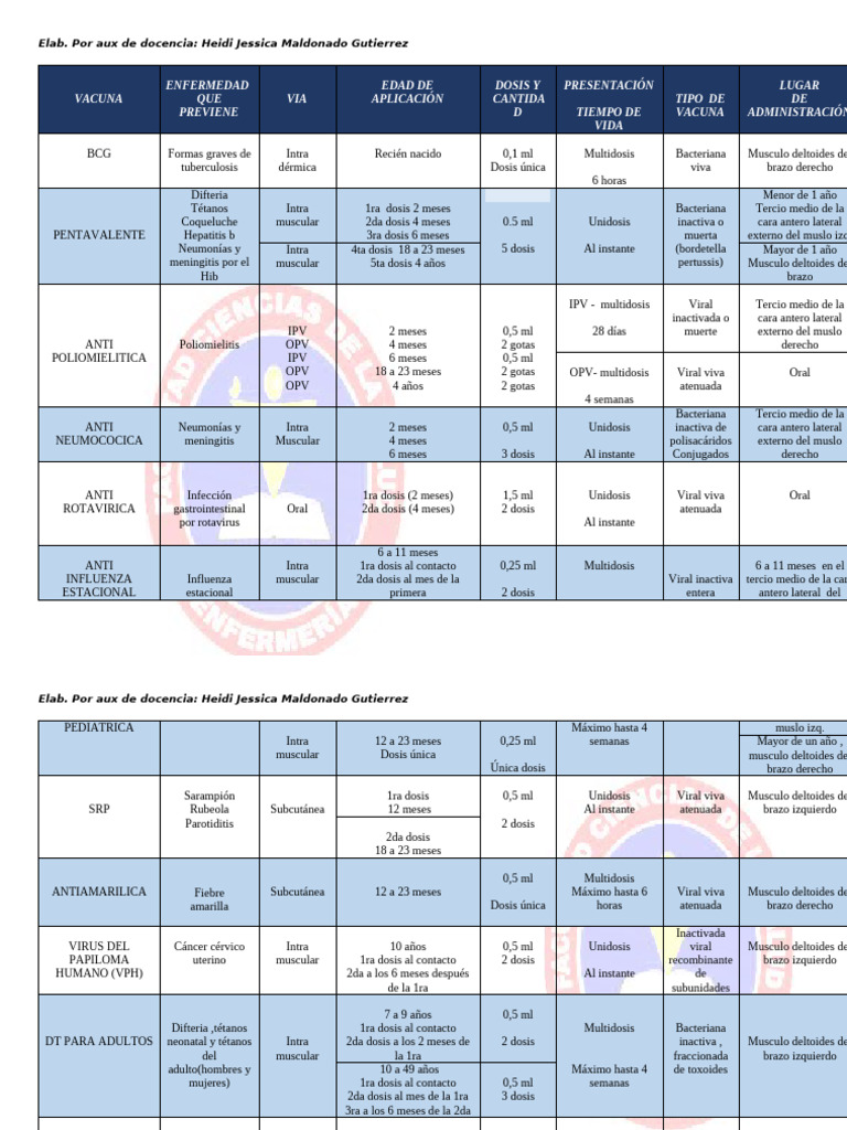 Oficial Esquema Pai | PDF