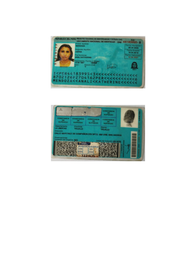 Dnis - Anali y Victor | PDF