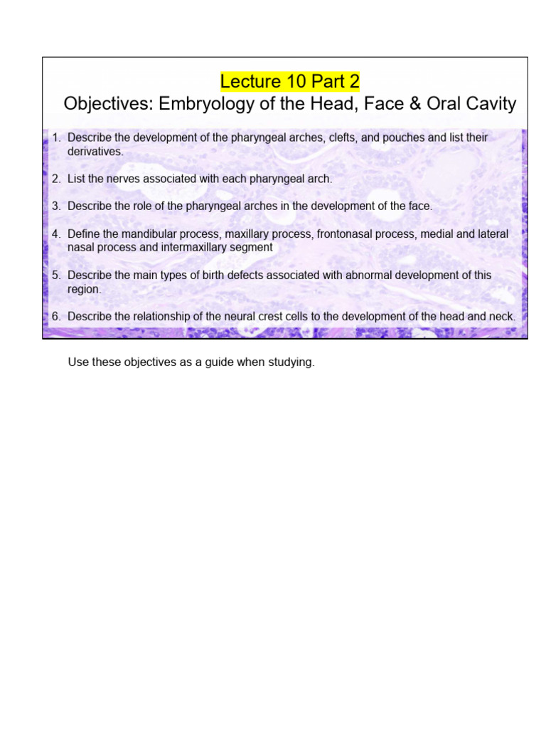 Lecture 10 Part 2 Pdf
