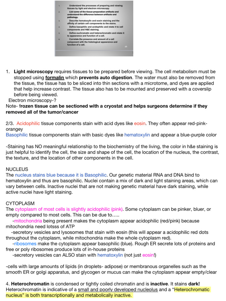 Histo_Lecture_1_review_questions | PDF