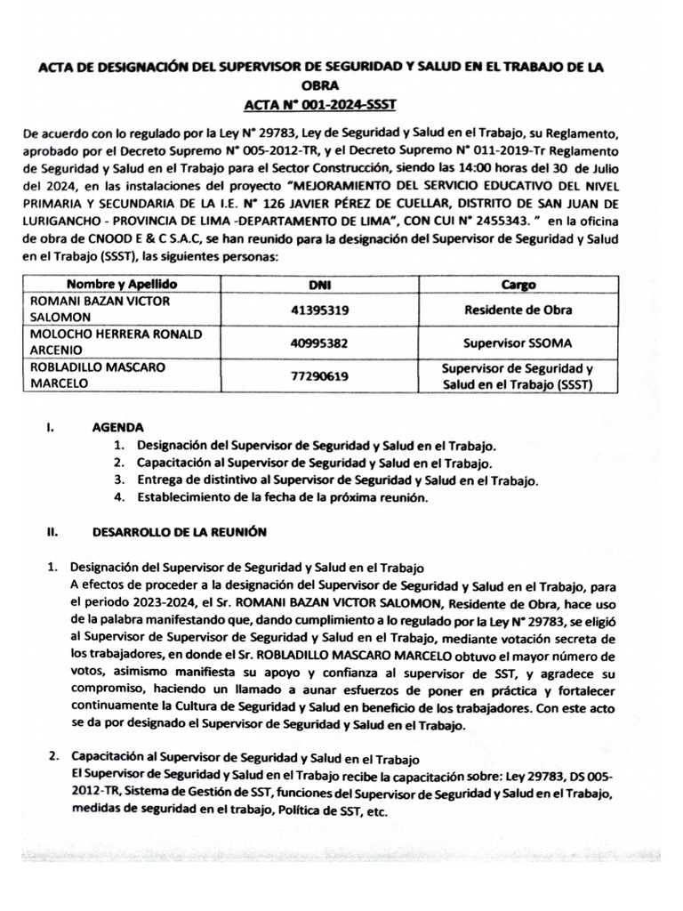Acta de Instalacion Sup SST Electo | PDF
