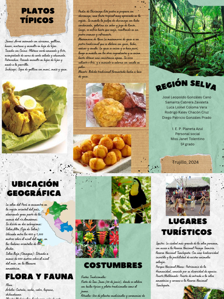 Folleto Tríptico Selva peruana | PDF