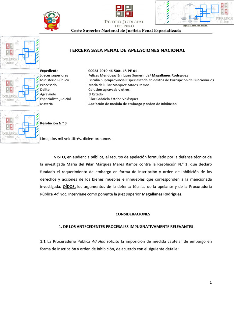 Tercera Sala Penal de Apelaciones Nacional | PDF