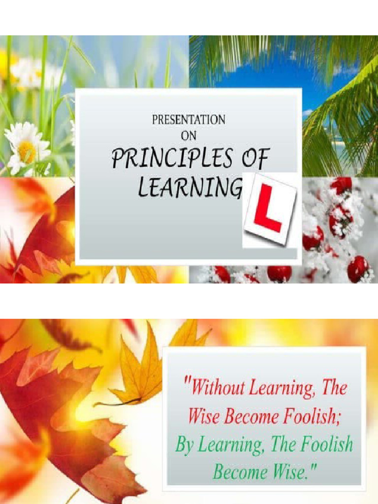 Intro-to-Principles-of-Learning | PDF