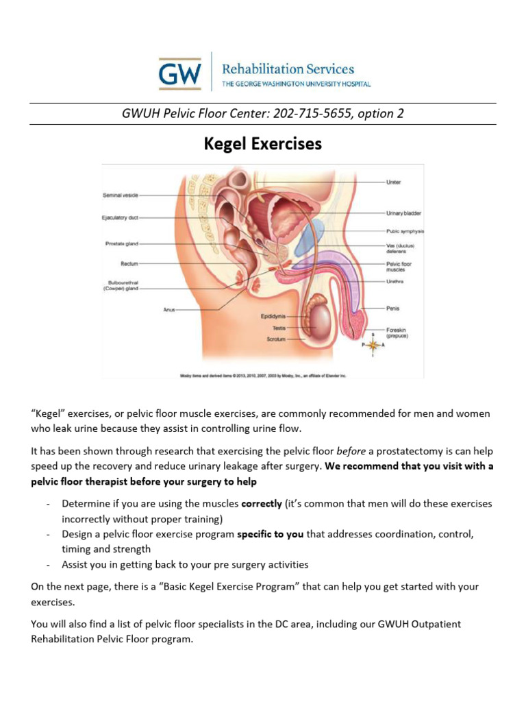 PFMT Instructions - Gwuh Pelvic Floor Center | PDF