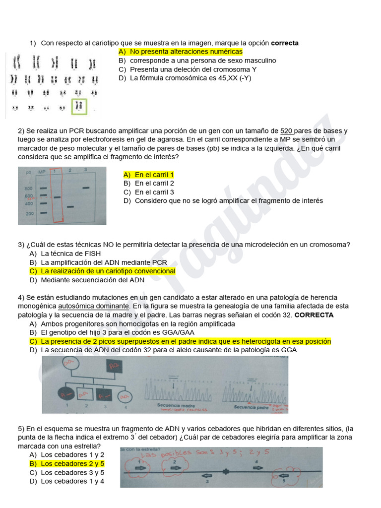 Preguntas bbm2 | PDF
